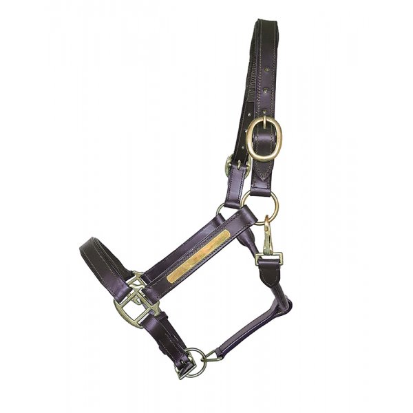 Lederhalfter mit Gravurplatte